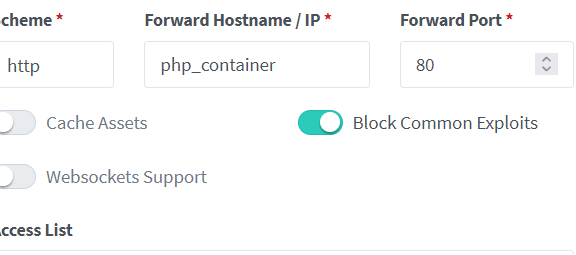 Adding Local Addresses in Nginx Proxy Manager Using Docker Container Domains in Docker Compose ...