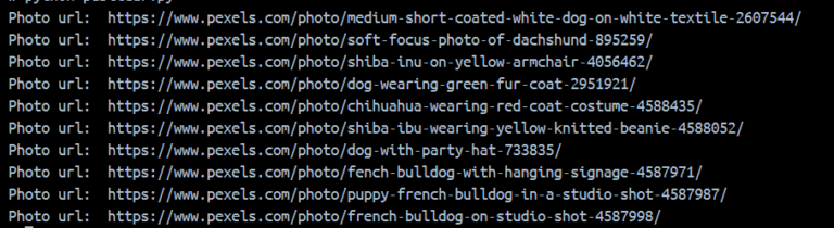Using Pexels API with Python – DevCodeLight