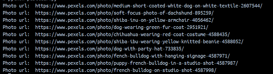 Using Pexels Api With Python Devcodelight