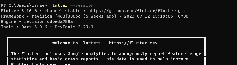 Install Flutter on Windows 10/11 – DevCodeLight